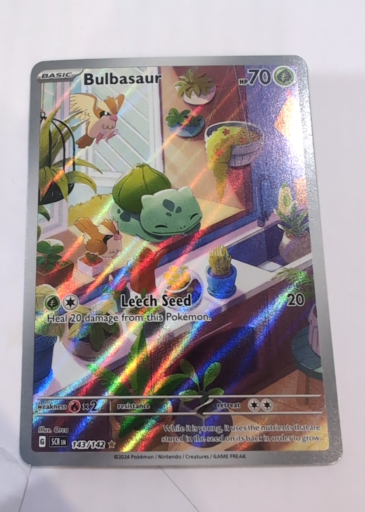Bulbasaur - Grade 9 - Stellar Crown #143/142 | TCGrader